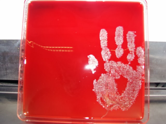 Is hand hygiene prior to nonsterile gloving really necessary?