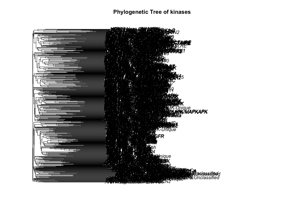 R for Biochemists: Visualizing the kinome in R - a 'simple' tree...