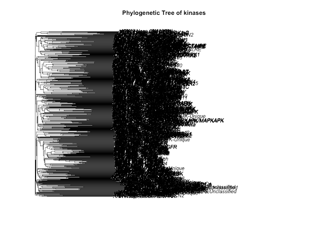 R for Biochemists: Visualizing the kinome in R - a 'simple' tree...