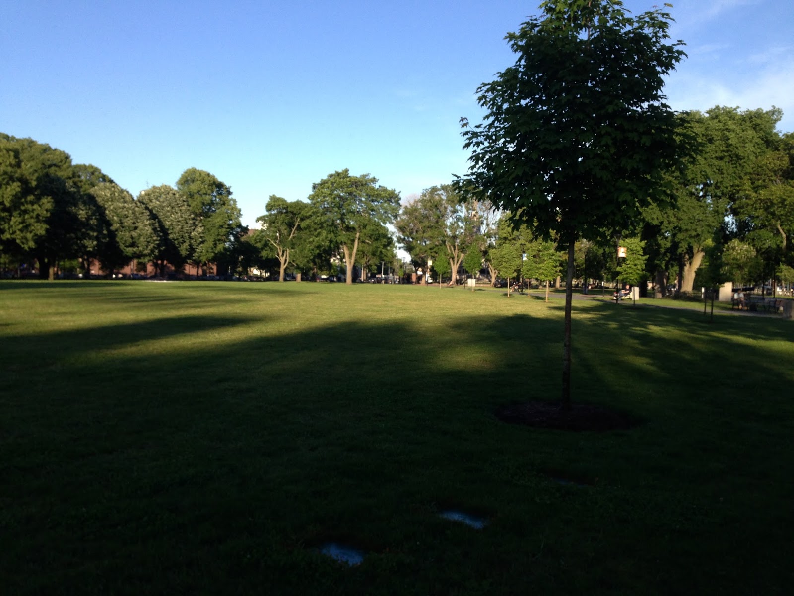 RENeW: Green Spaces At and Near Harvard University