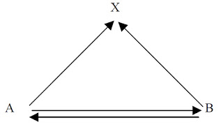 Onur Çoban: Newcomb’un ABX Denge Modeli