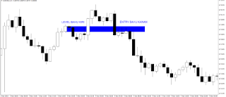 Fibo Musang - Forex & Anime