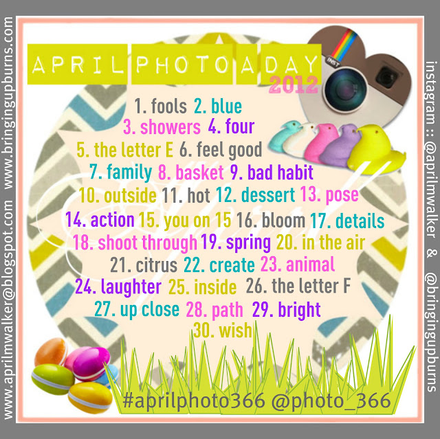 April Photo Challenge. | Joy's Hope