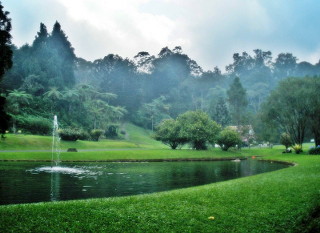 Kebun Raya Cibodas Puncak Cocok Untuk Piknik Bersama Keluarga ~ Riska ...