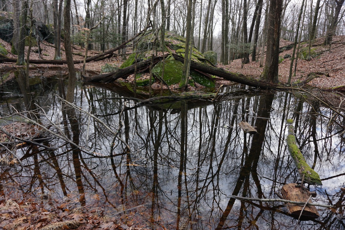 Harriman Hiker: Harriman State Park and Beyond: Blue Mountain ...