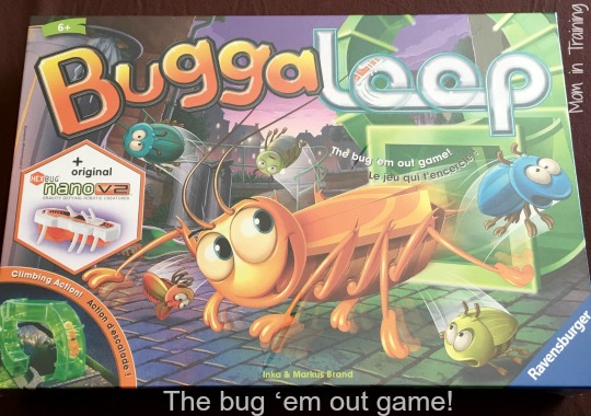 Stacy Talks & Reviews: Summer fun here we come!