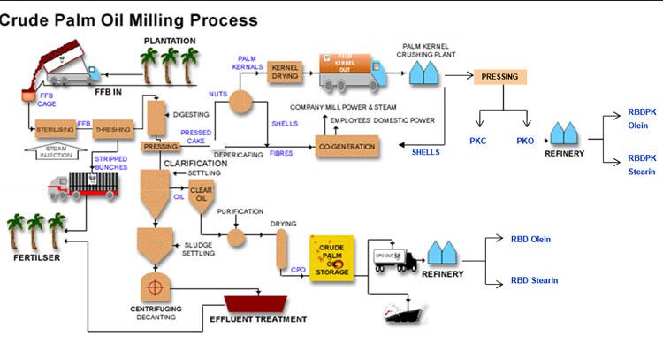 palm oil machine: Palm oil mill, palm oil processing palm oil process steps