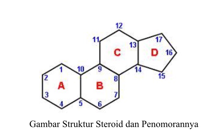 My Chemistry Journey: STEROIDA