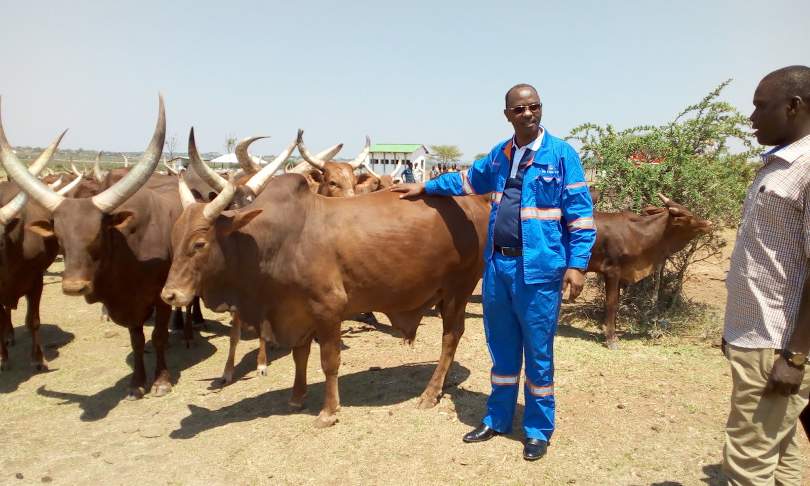 HABARI MIFUGO NA UVUVI: WAFUGAJI WAKUMBUSHWA KUFUGA KISASA