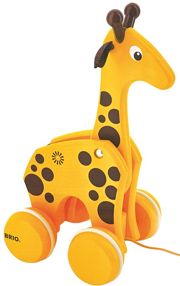 Grasshopper Store: New Pull Along Toys!