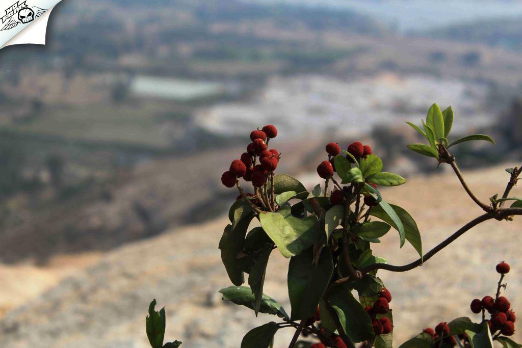 Avani Betta - A slice of history - Republic day ride 26/01/2018