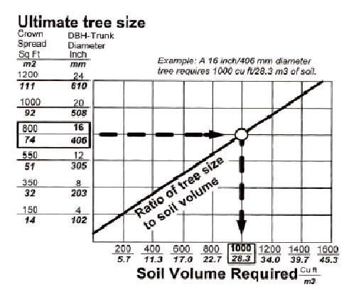 The Wandering Arborist: Why Big Trees are More Valuable - Size Matters