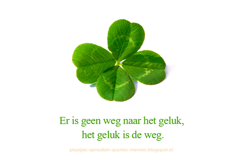 Plaatjes met grappige quotes en afbeeldingen met mooie spreuken om te ...