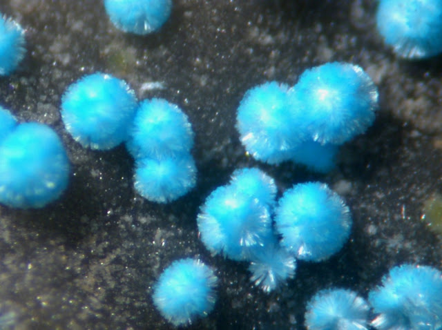 The World's Rarest Minerals Are Finally Cataloged - Geology In