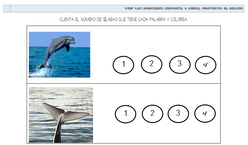 La magia de mirar: FICHAS EXTRA DEL PROYECTO DEL DELFÍN