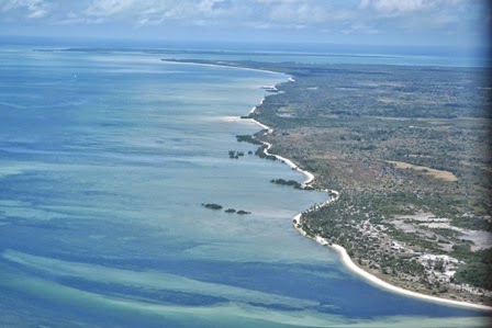 eyewitness: COMUNIDADES DE AFUNGI querem mais clareza sobre projectos ...