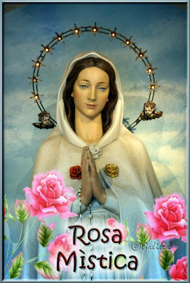 ® Gifs y Fondos Paz enla Tormenta ®: IMÁGENES DE LA VIRGEN MARÍA, ROSA ...