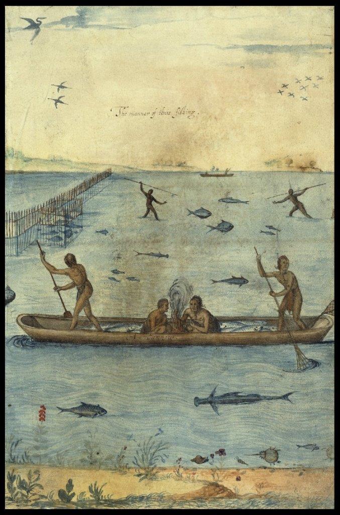 Raleigh 400: The watercolours of John White: artist and explorer