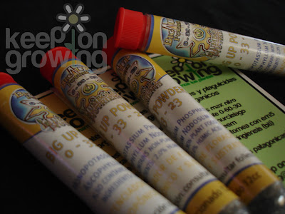 keep on growing (mimamos tus plantas)