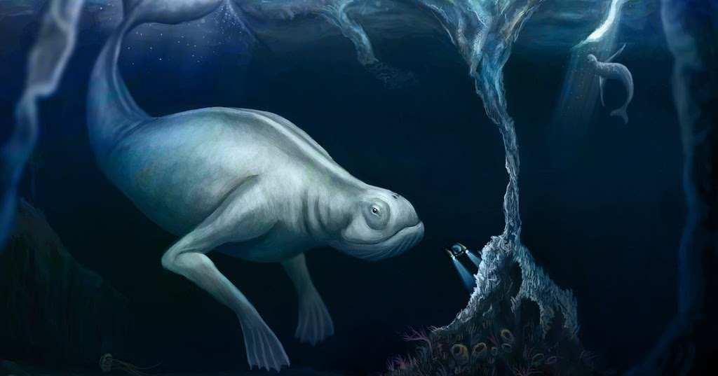 NIKOMISTERIOS S.A: ningen leyenda o realidad