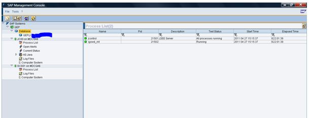 Simple about SAP basis: SAP Java Monitoring Check list 2