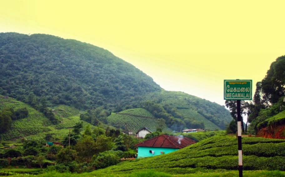 Tamilnadu Tourism: Megamalai
