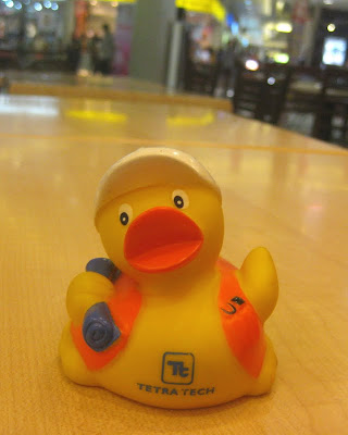 Percy's World of Toys: 2165. Tetra Tech Rubber Ducky