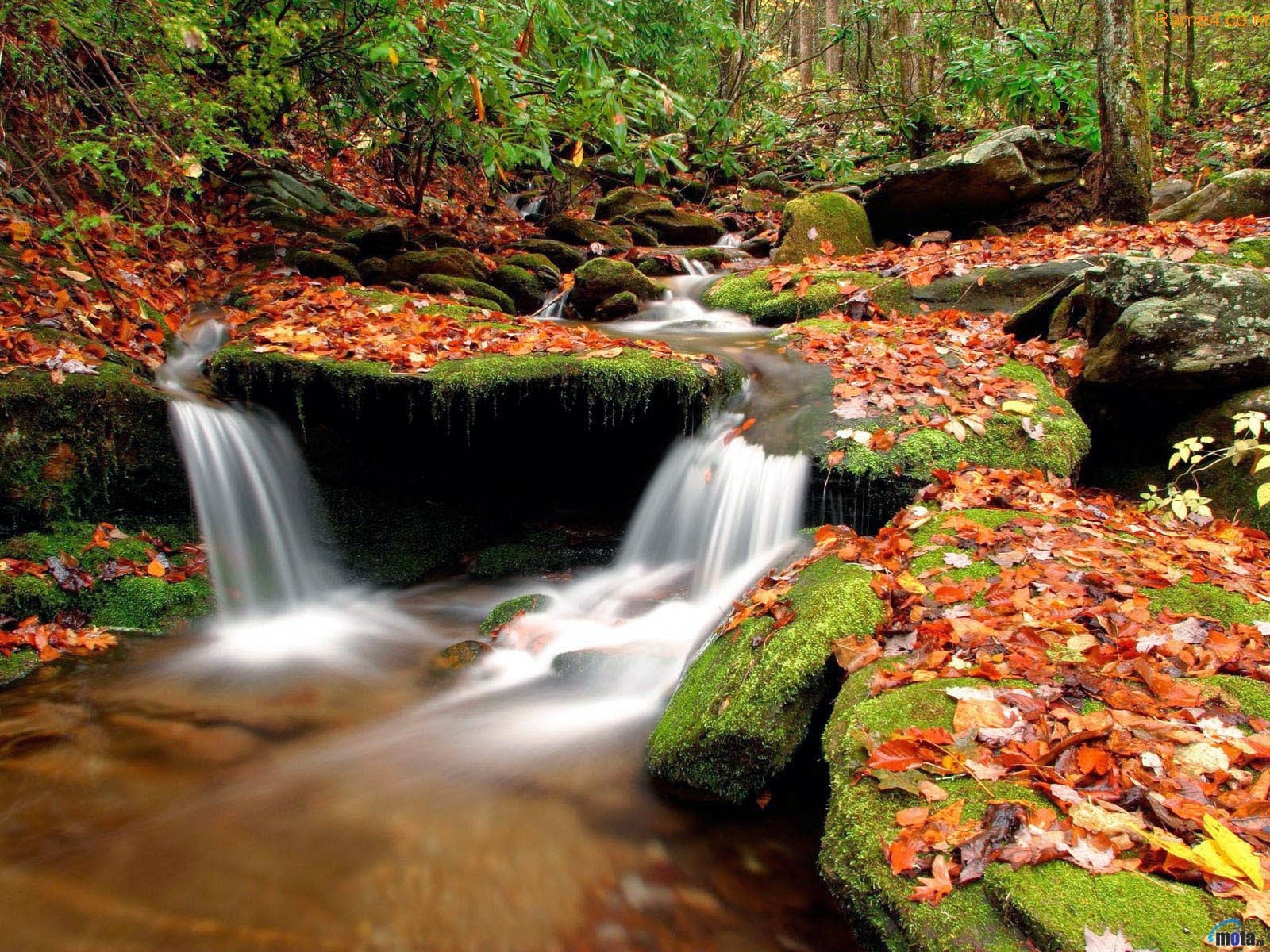 Nature Springs water 2014 HD wallpapers and Guide ~ Golden wallpaper