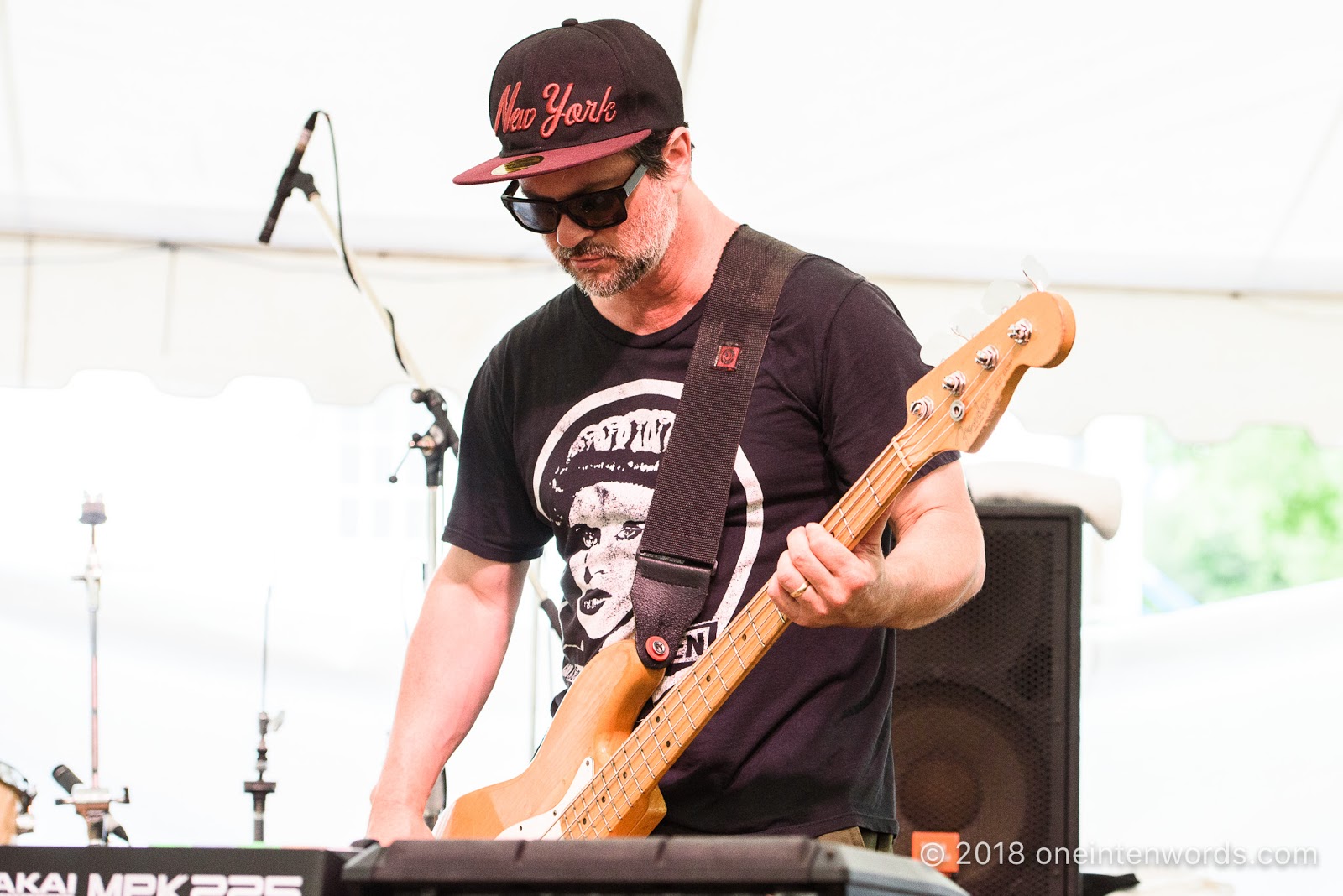 one in ten words: Hillside 2018: Day 3: Jessicka - Concert Photos