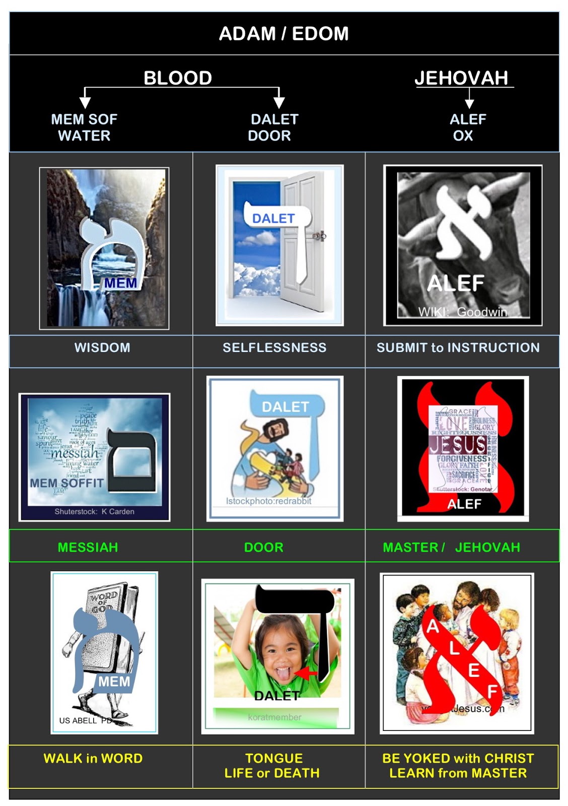 shalag: LIFE and DEATH 5 of 5