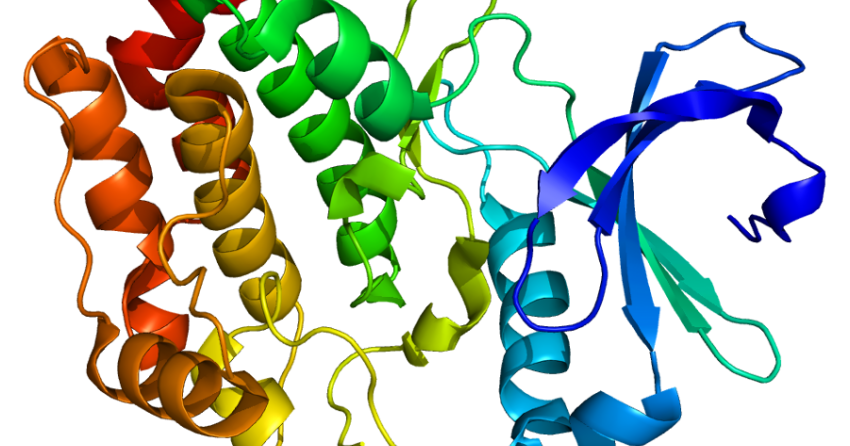 FOOD SCIENCE AND HUMAN NUTRITION: Physical properties of proteins