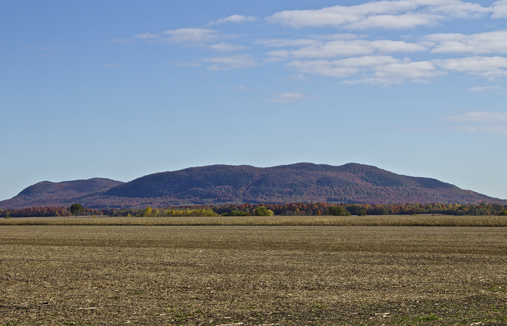 Flora Urbana: Au pied du Mont Yamaska