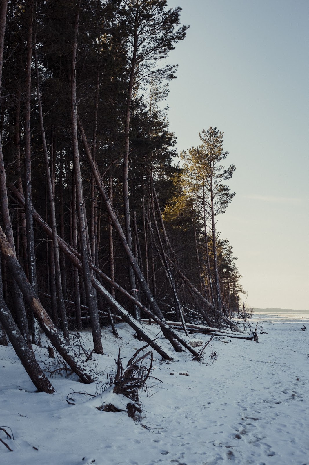 Gauja ietek jūrā || Idejas brīvdienām - Sandija Veipa