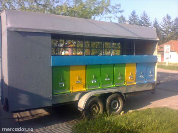 PRISACA DIN IASI: pavilioane apicole diverse modele