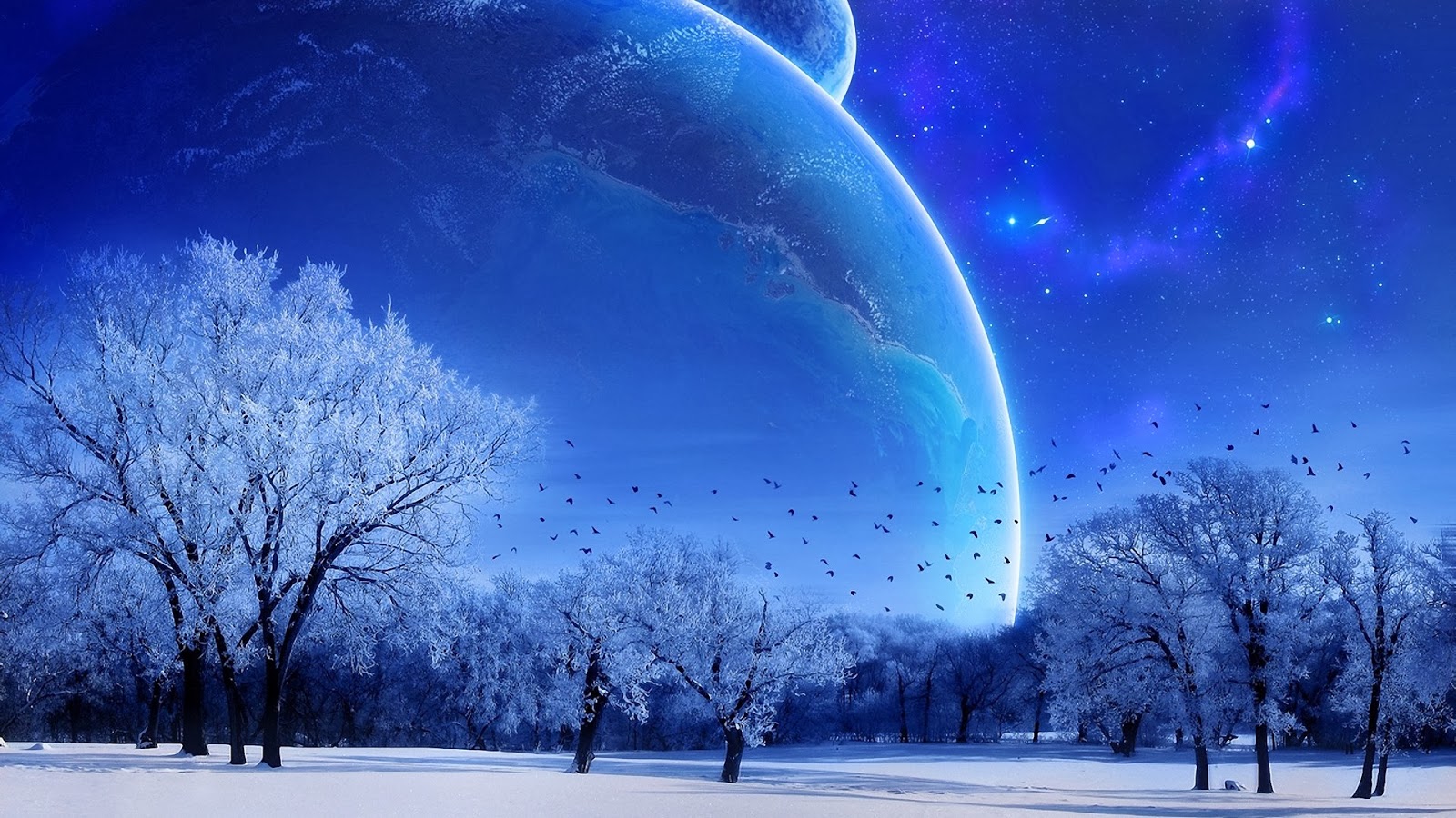 40 Nature HD Wellpapers Pack ~ wellpaper