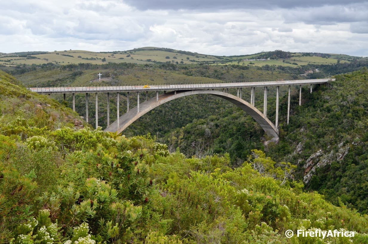 Port Elizabeth Daily Photo: Bridge series #3 - Van Stadens Bridge