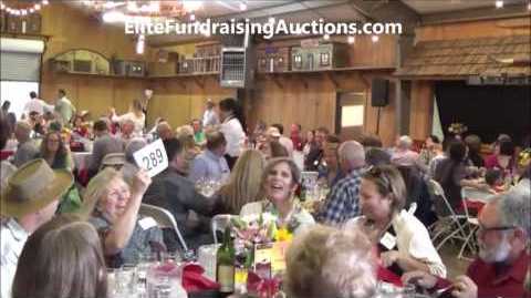 Elite Auctions and Fundraising Services: Should you have a Live Auction ...
