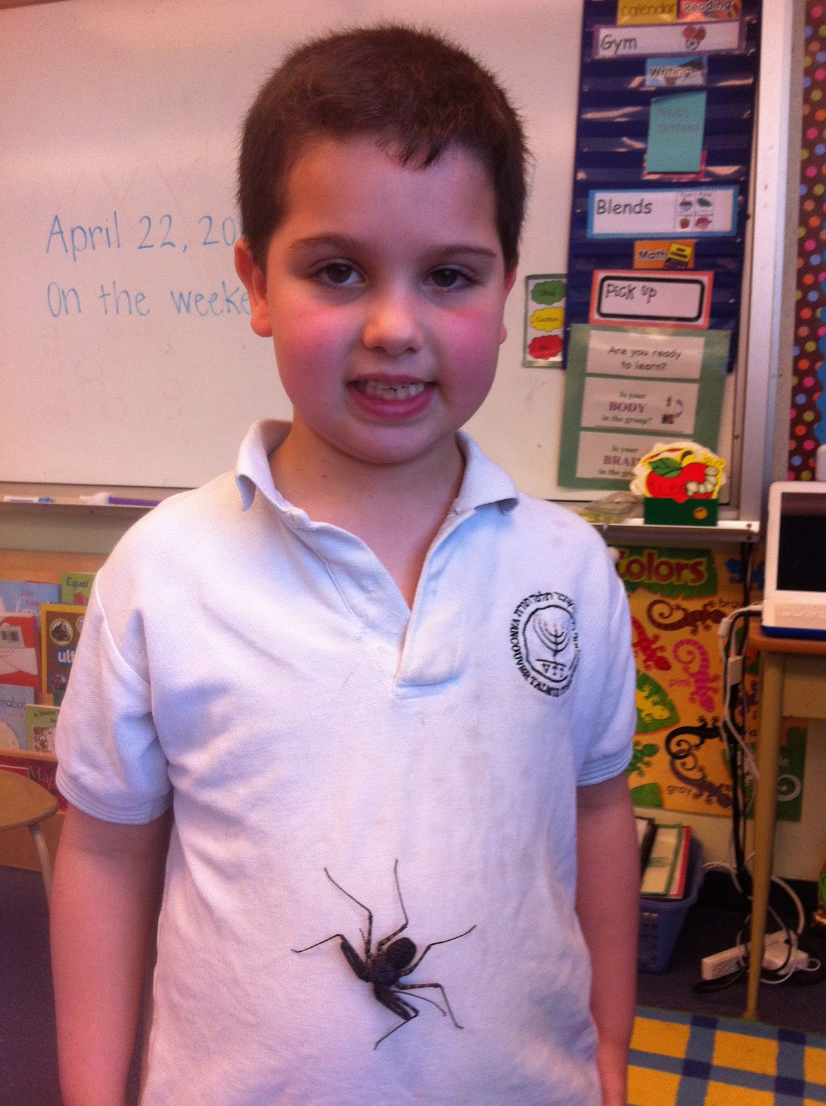 Look at me in 1C!: Mike's Critters