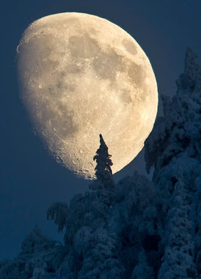 Banging the Drum: Snow Moon ~ Wolf Moon
