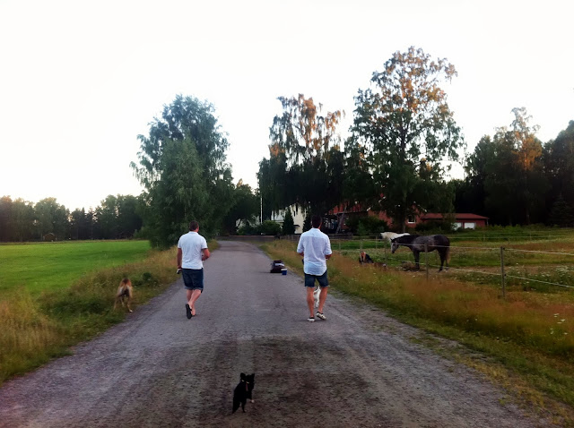 Petra Nymans dagbok!: Wow vår vän Patrik Wallin kunde sjunga o spela ...