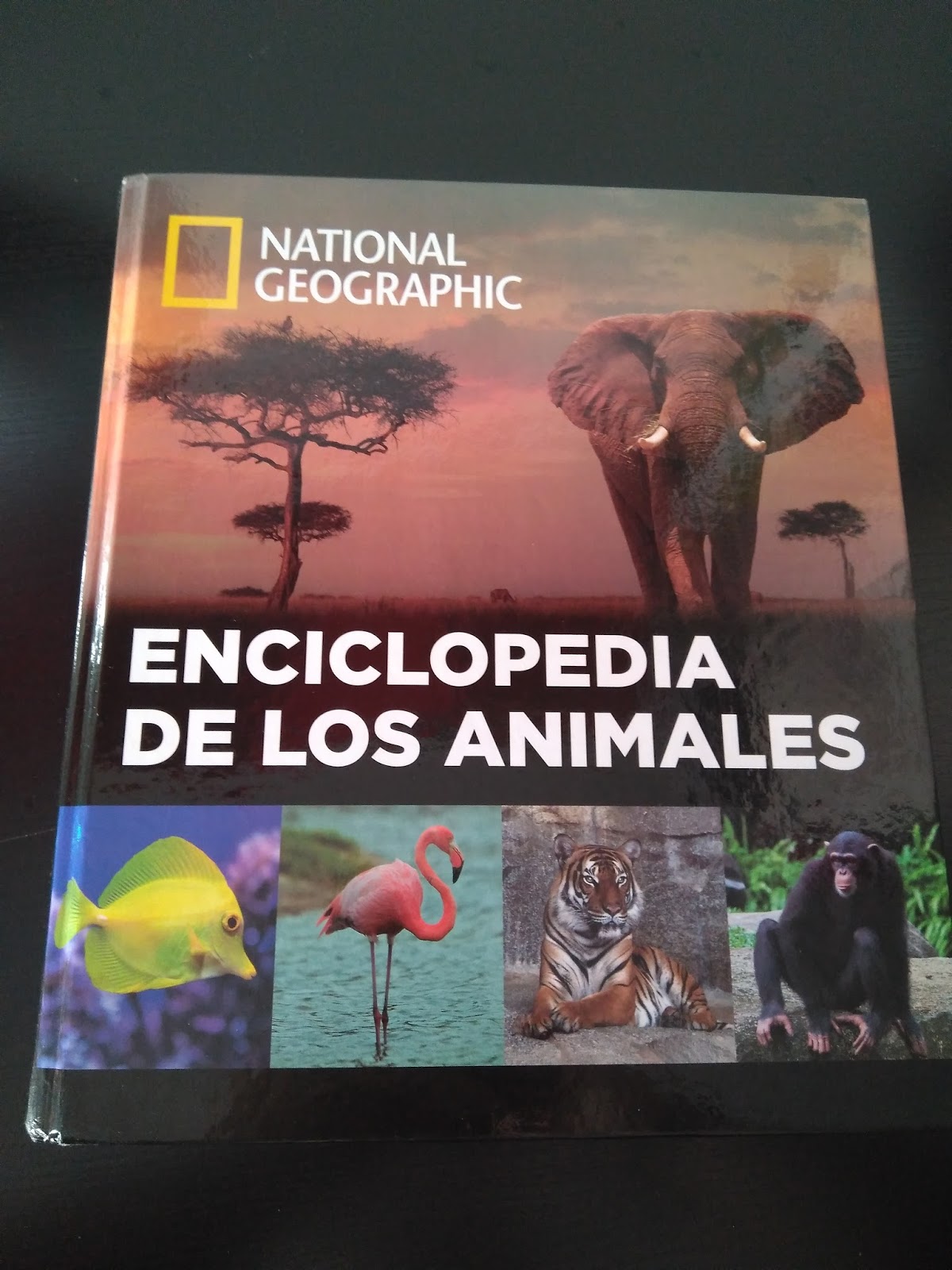 Trabajar en el zoo: Libro: Enciclopedia de los animales
