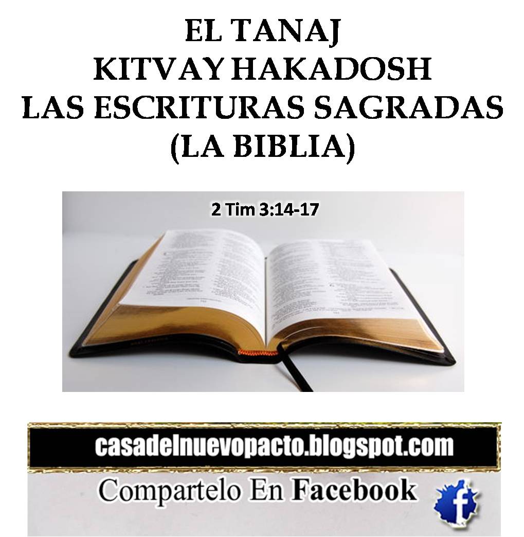 Centro de Estudios "El Camino de la Libertad": EL TANAJ - KITVAY ...