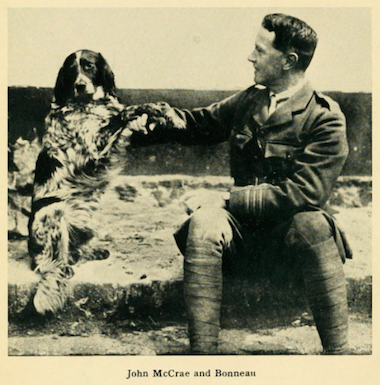 The Dusty Bookcase: Remembering John McCrae: 100 Years