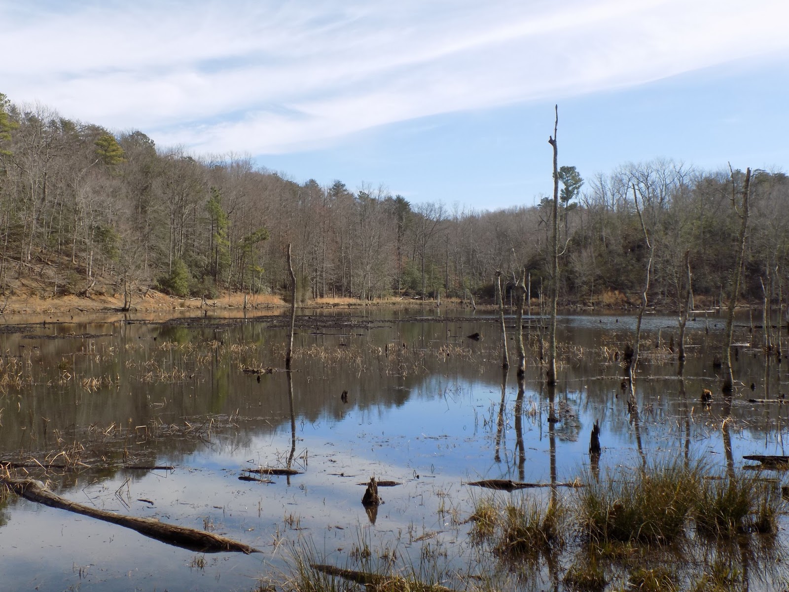 Tales From the Trails: Calvert Cliffs: Chesapeake Bay