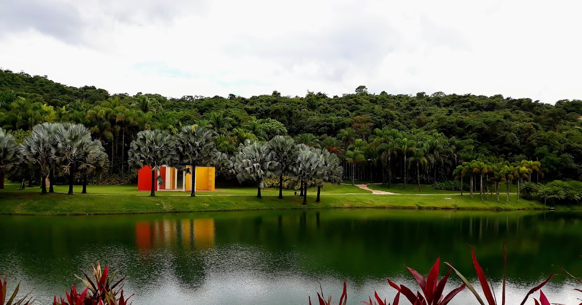 50 possibilidades: MINAS CONTEMPORÂNEA - INHOTIM ARTE E NATUREZA