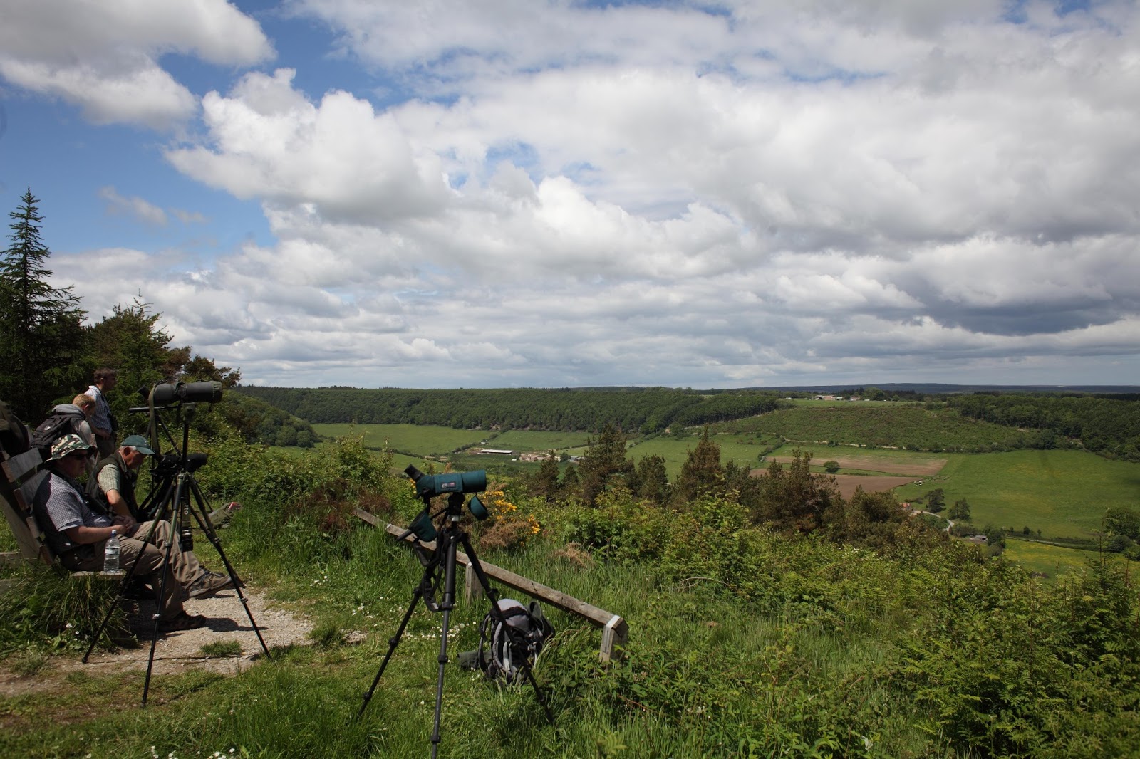 Birding Beyond Blighty: Wykeham Forest. Flamborough Head, Bempton ...