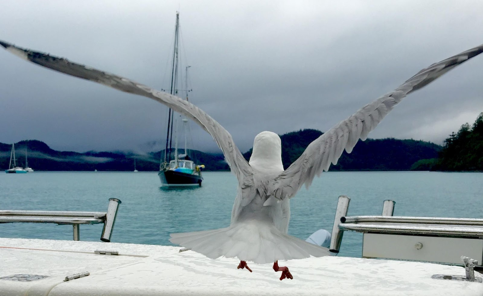 Dreamtime Sail: Cid Harbour – Our Whitsunday Islands Haven