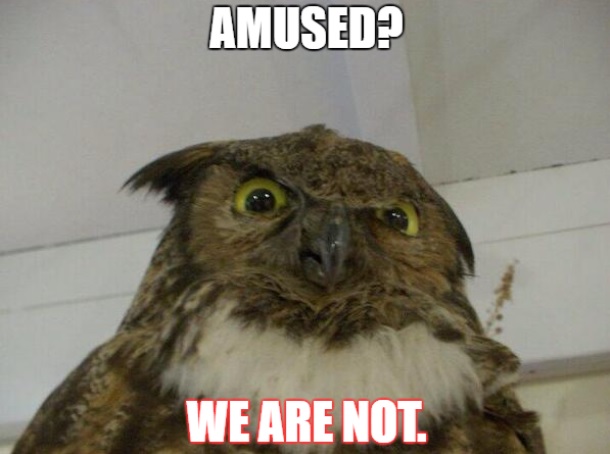 Forsaken Cove: I. Am. Not. Amused.