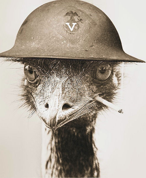 Left Field Wander: Emus 1, Australian Army 0