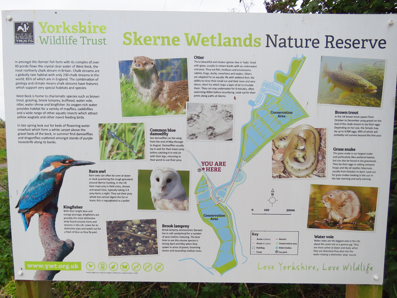 Wild at Hull: River Hull. Stage 14. Skerne Wetlands